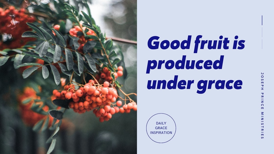 Daily Grace Inspiration - Good Fruit Is Produced Under Grace | Joseph ...